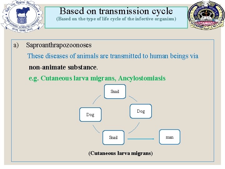 CLASSIFICATION OF ZOONOSES Classification of Zoonoses can be