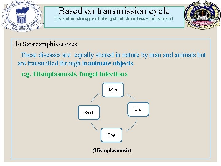 CLASSIFICATION OF ZOONOSES Classification of Zoonoses can be