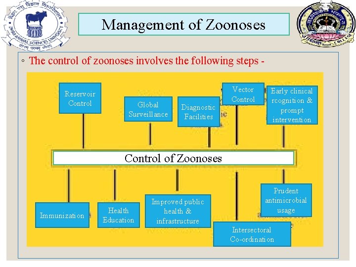 CLASSIFICATION OF ZOONOSES Classification of Zoonoses can be