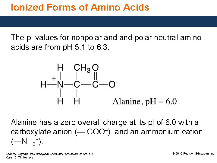 19 2 Amino Acids as Acids and Bases