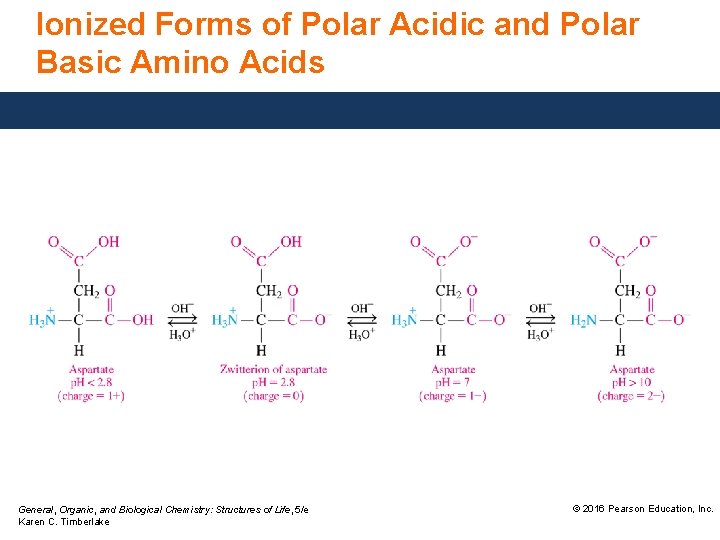 19 2 Amino Acids as Acids and Bases