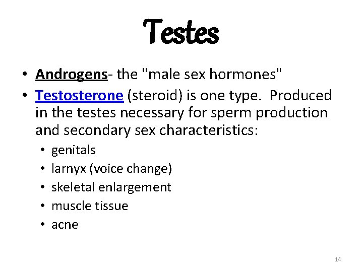 Integration and Control THE ENDOCRINE SYSTEM Campbell Reece