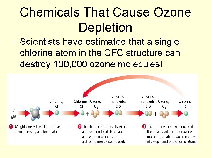 The Ozone Layer Environmental Science Witt The Ozone