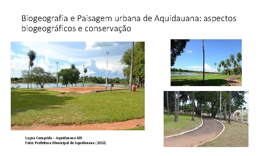 Biogeografia e Paisagem Urbana Uma anlise das bacias