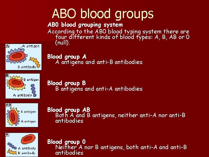 The Bloody Facts A Presentation All About Blood