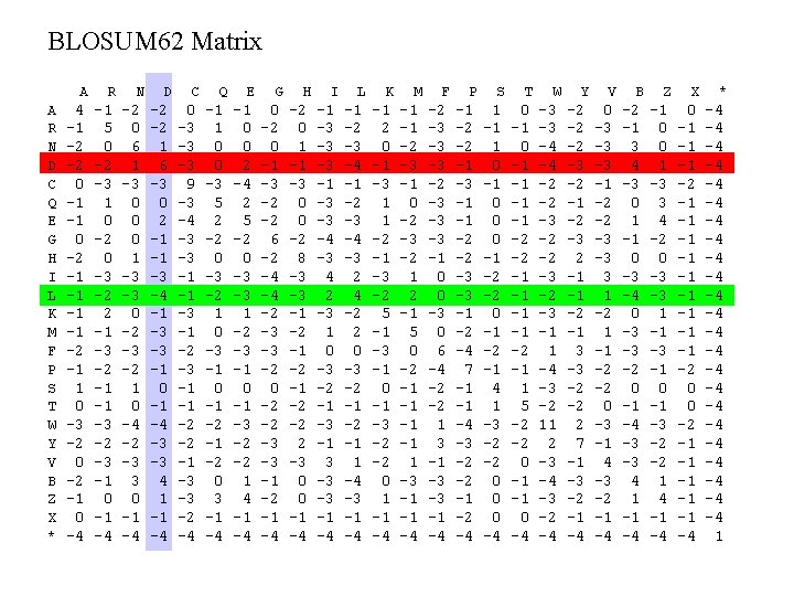 Protein Sequence Alignment and Database Searching What is