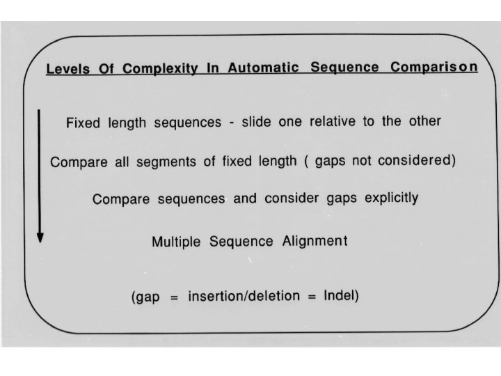 Protein Sequence Alignment and Database Searching What is