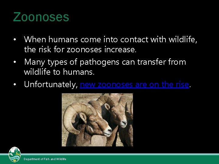 Wildlife Disease What is Wildlife Disease Disease is