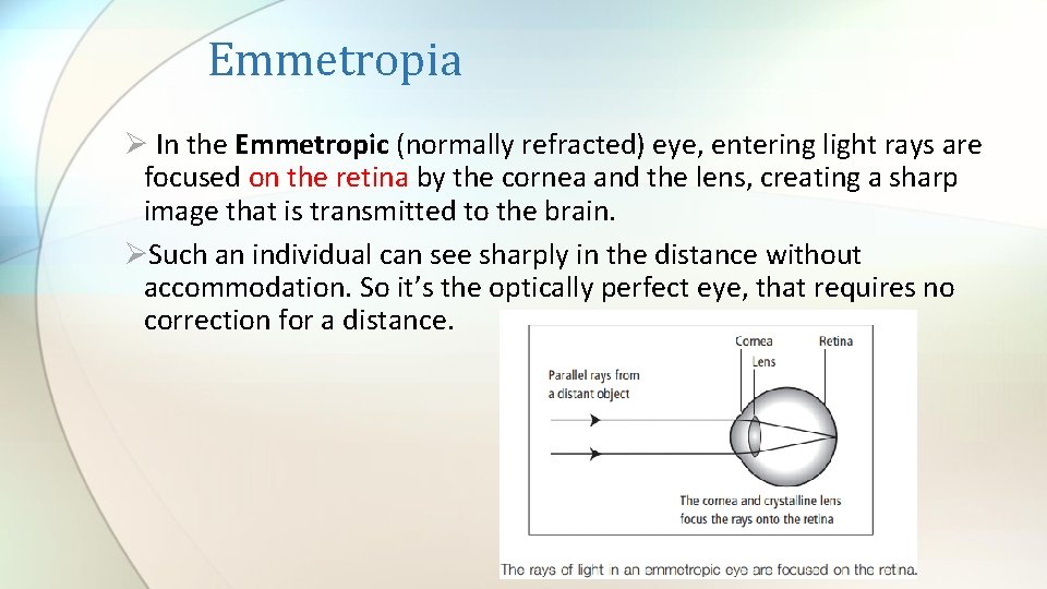 Optics and Refraction Presented by Nadine Othman Mohannad