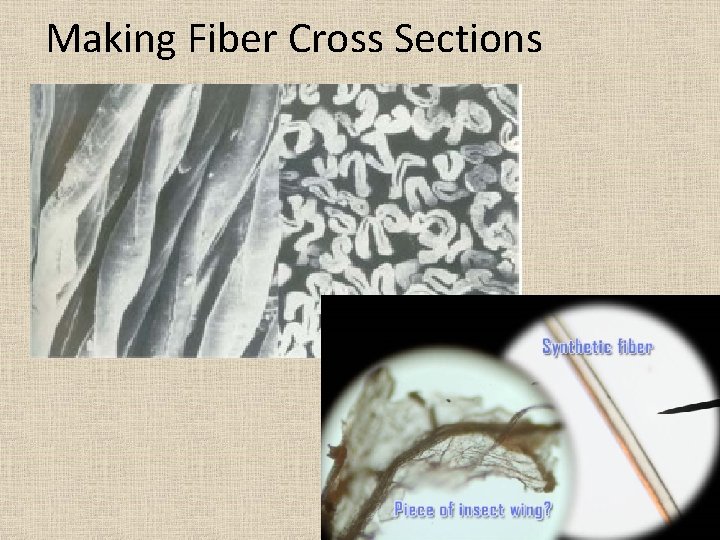 Making Fiber Cross Sections In the last fiber