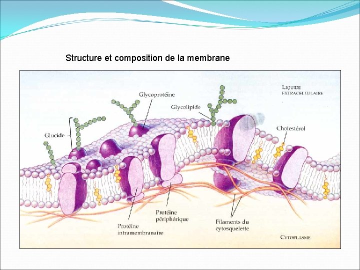 Quelques conseils de base Prendre des notes Fates