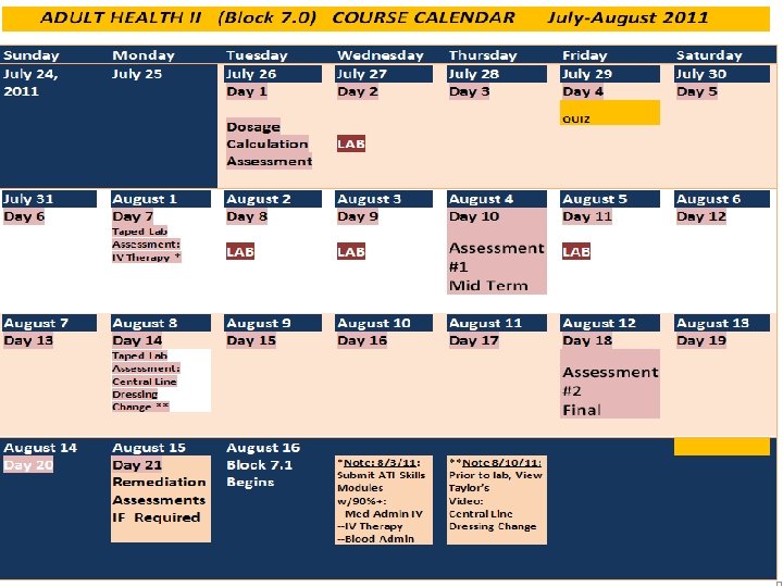 The ABSN Program Adult Health Nursing II Block
