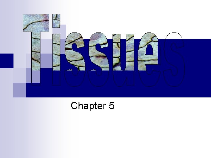 Chapter 5 Recall that Cellsform tissues that have