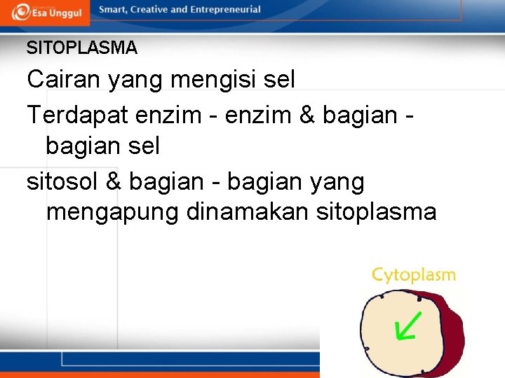 PENGANTAR METABOLISME ENERGY DAN ZAT GIZI MAKRO PERTEMUAN