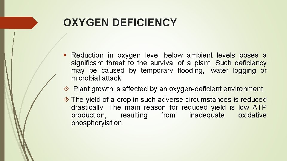 ENERGY METABOLISM IN PLANTS UNDER OXYGEN DEFICIENCY ENERGY
