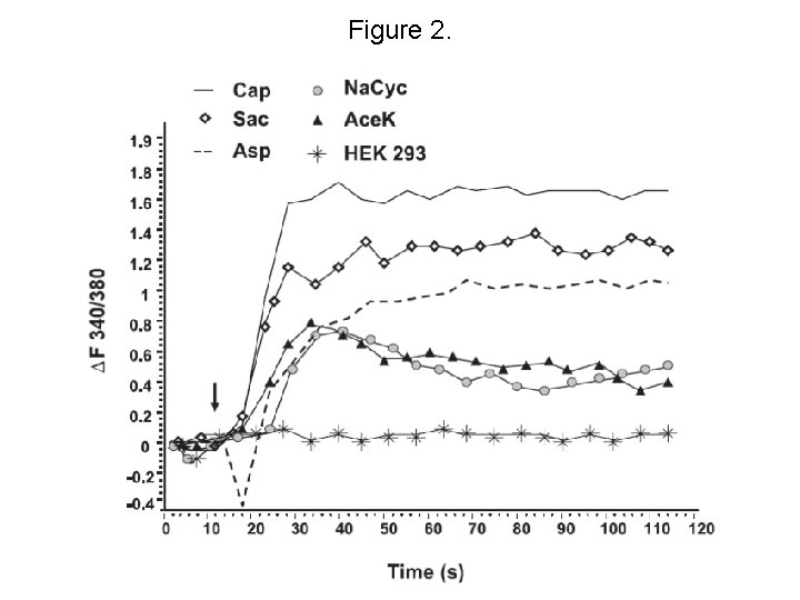 Calcium Imaging and Voltagesensitive dyes Membrane Biophysics 10262007