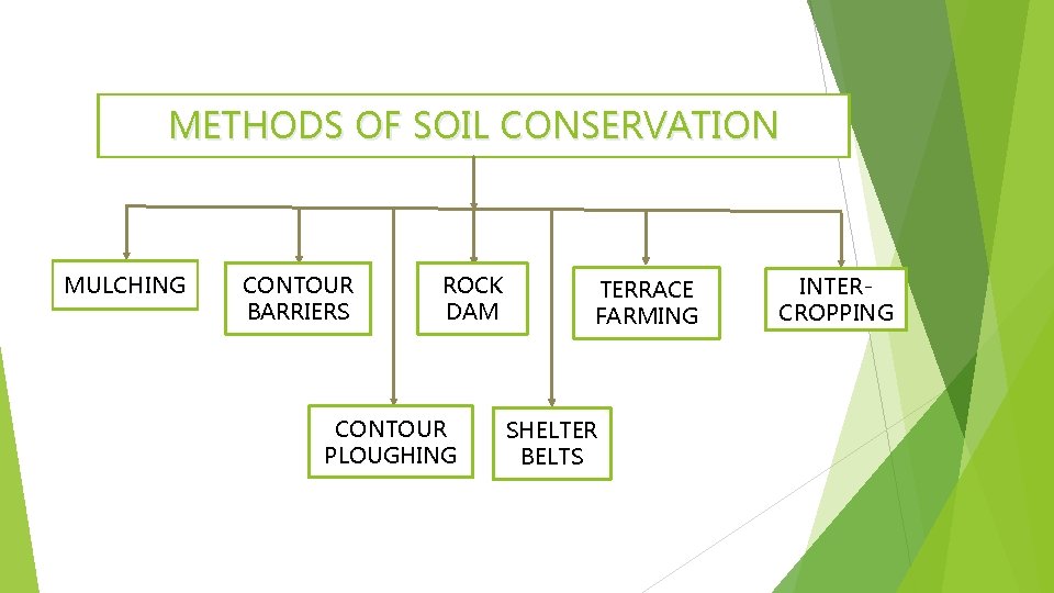 GEOGRAPHY CHAPTER2 LAND SOIL WATER NATURAL VEGETATION AND