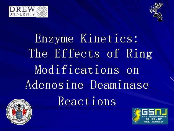 Enzyme Kinetics The Effects of Ring Modifications on