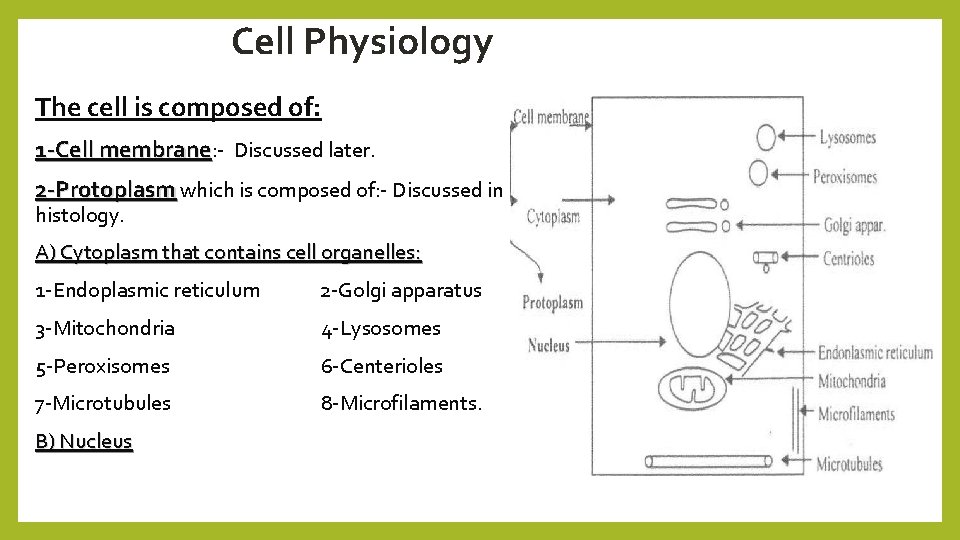 INTRODUCTION TO HUMAN PHYSIOLOGY Abdallah Wasel Hattab Human