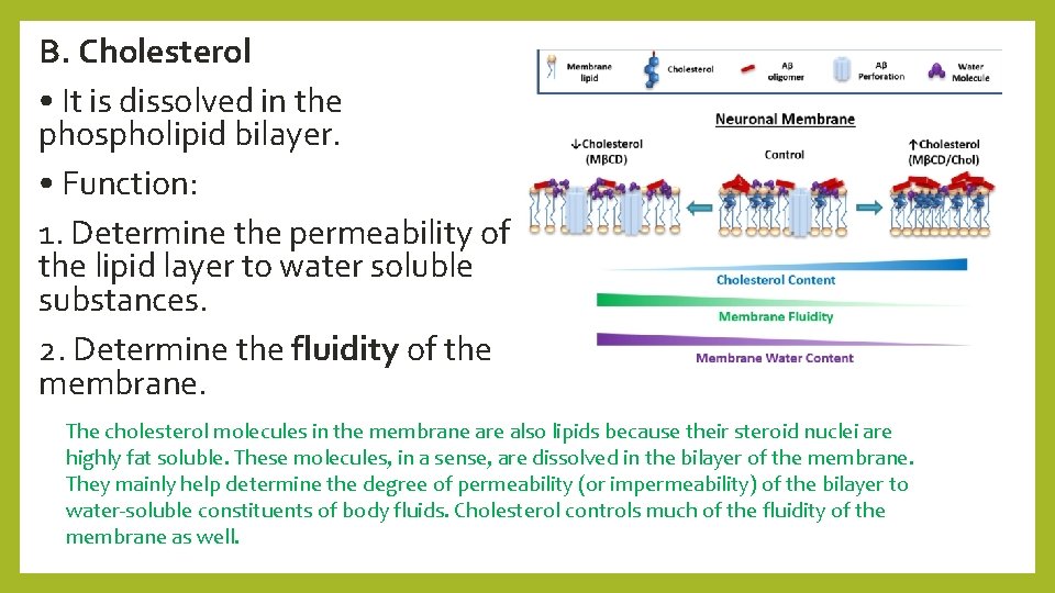 INTRODUCTION TO HUMAN PHYSIOLOGY Abdallah Wasel Hattab Human