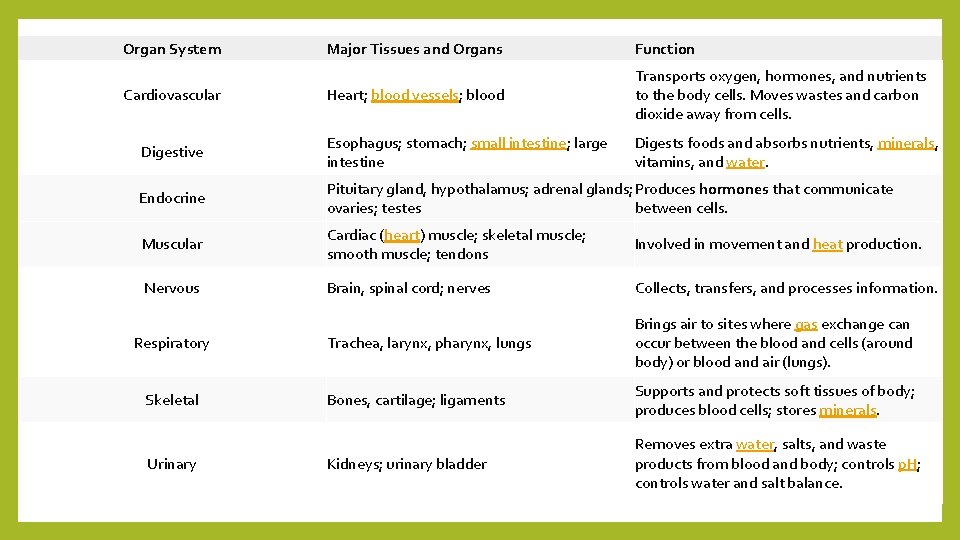 INTRODUCTION TO HUMAN PHYSIOLOGY Abdallah Wasel Hattab Human
