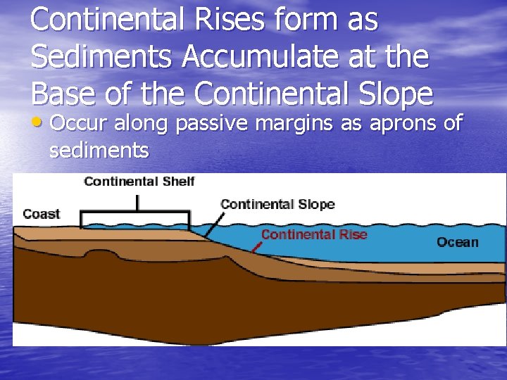 OCEAN BASINS CHAPTER 4 Study Plan The Ocean