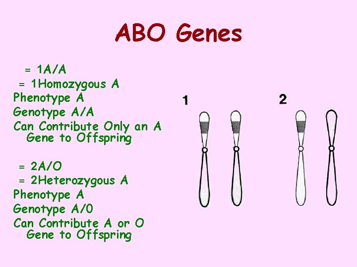 Hello ABO BLOOD GROUP SYSTEM Introduction All human