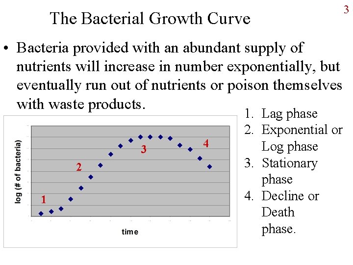 Bacterial growth defined 1 Since individual cells double