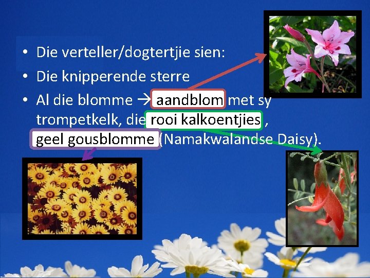 Kabouterliefde Vir Simone Ingrid Jonker Kliek op die