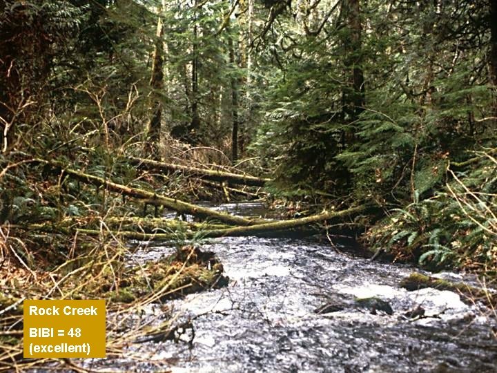 Changing Course Streambed Restoration and Stabilization APWA Webcast