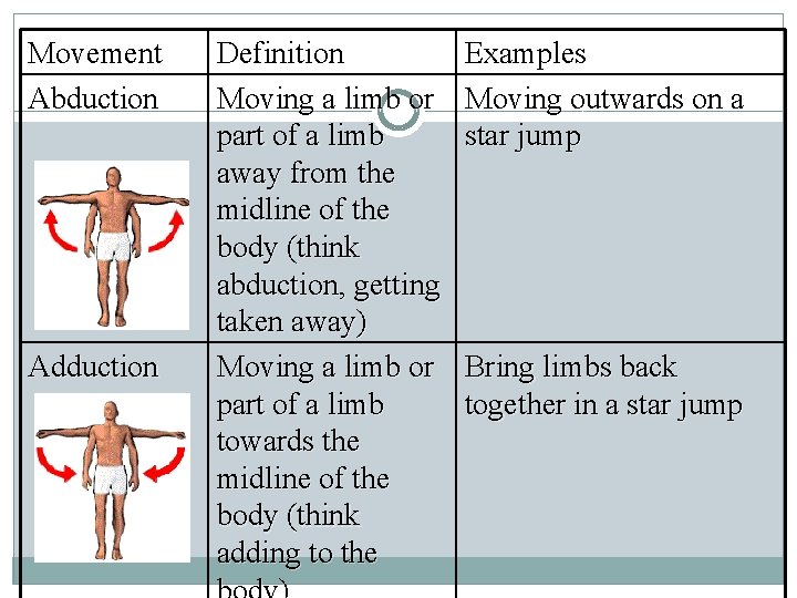 Joint Movements Lesson 4 Students can copy down