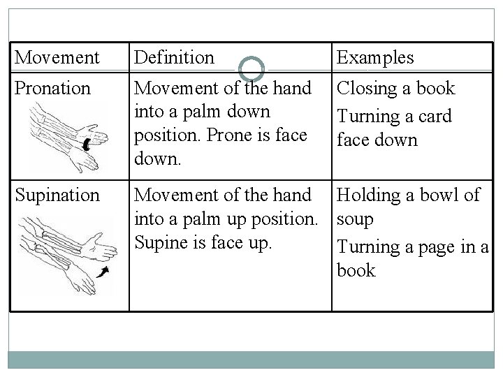 Joint Movements Lesson 4 Students can copy down