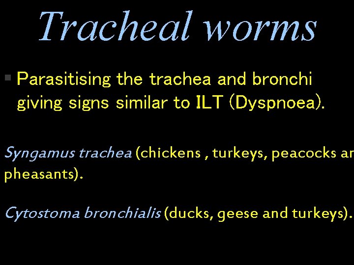 Respiratory Disease Complex By Prof Dr Mohamed H
