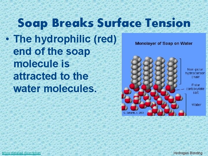 Background Polar Nature of Water Oxygen has 6