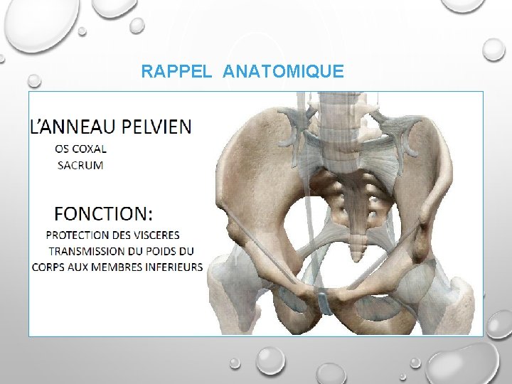 COMPLICATIONS URINAIRES DES FRACTURES DU BASSIN DR F
