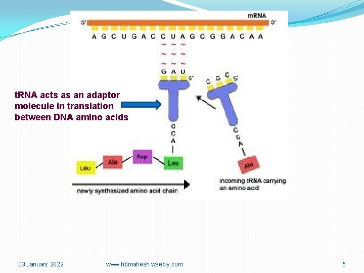 GENETIC CODE Dr Mahesha H B Associate Professor