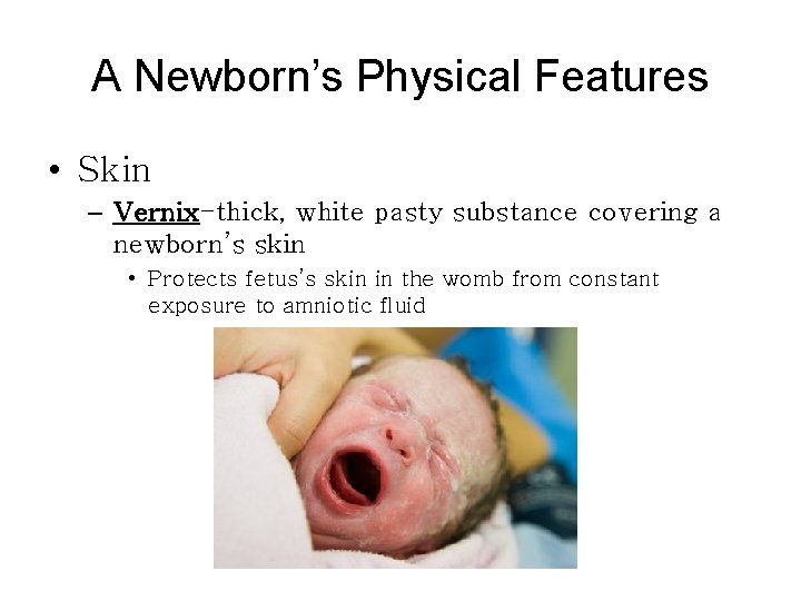 The Neonate Neonate A newborn baby during its