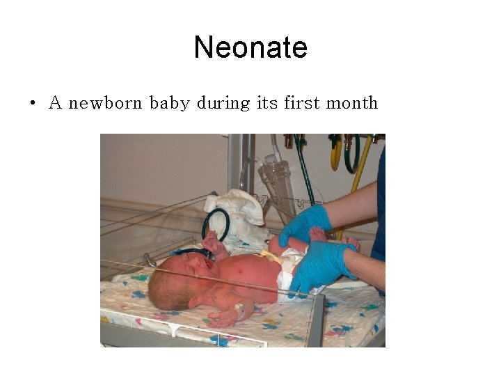 The Neonate Neonate A newborn baby during its