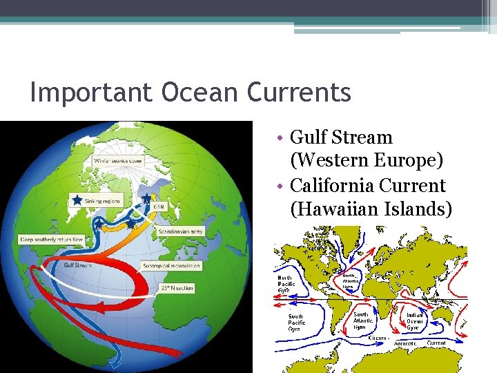 Oceans The great abyss What is an ocean