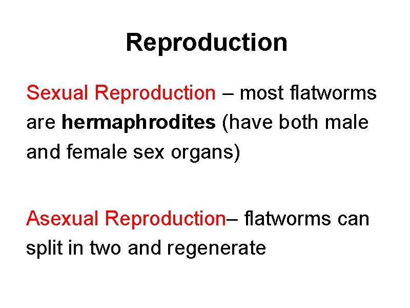FLATWORMS KINDGOM ANIMALIA PHYLUM PLATYHELMINTHES Characteristics 1 Three