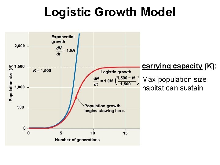 Population Ecology What is a Population An interbreeding