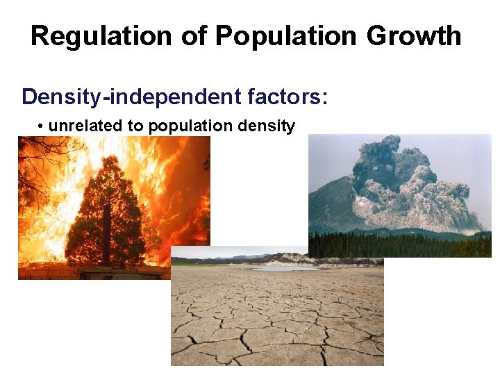 Population Ecology What is a Population An interbreeding