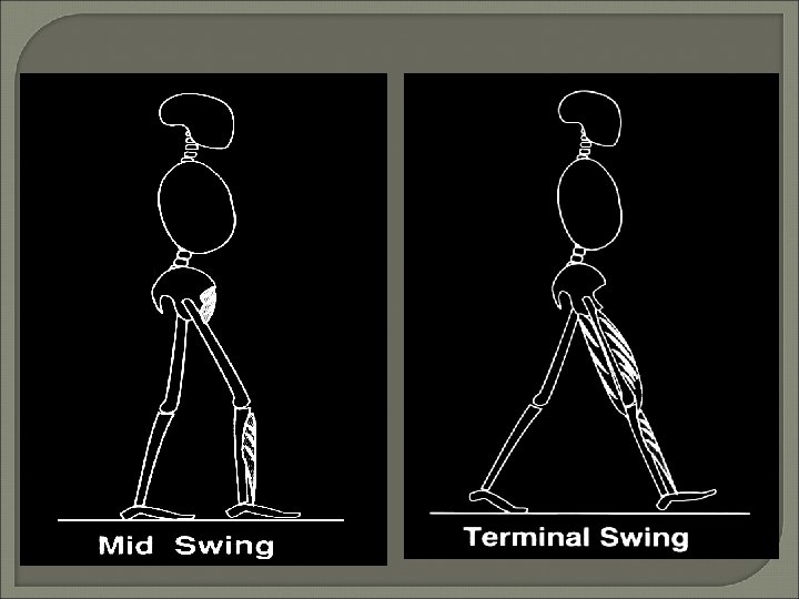 Gait Gait Aids By Tamiru DMPT April 2019
