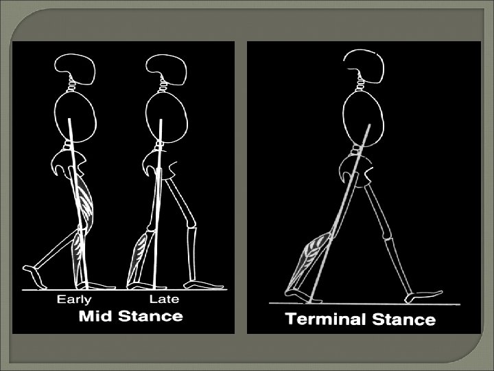 Gait Gait Aids By Tamiru DMPT April 2019