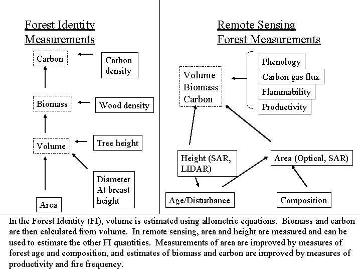 Decision Making Capability with a World Forest Virtual