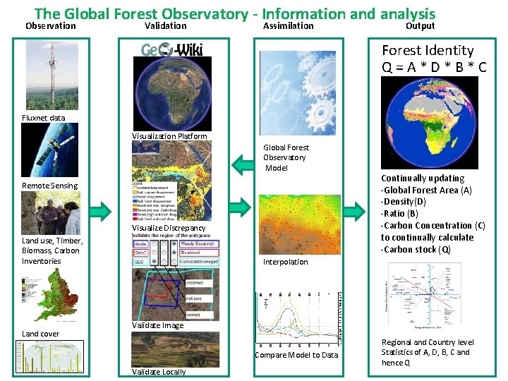 Decision Making Capability with a World Forest Virtual