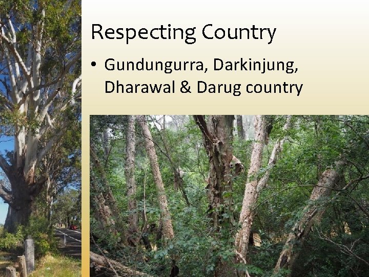 CUMBERLAND PLAIN CONSERVATION PLAN Implications for Western Sydney