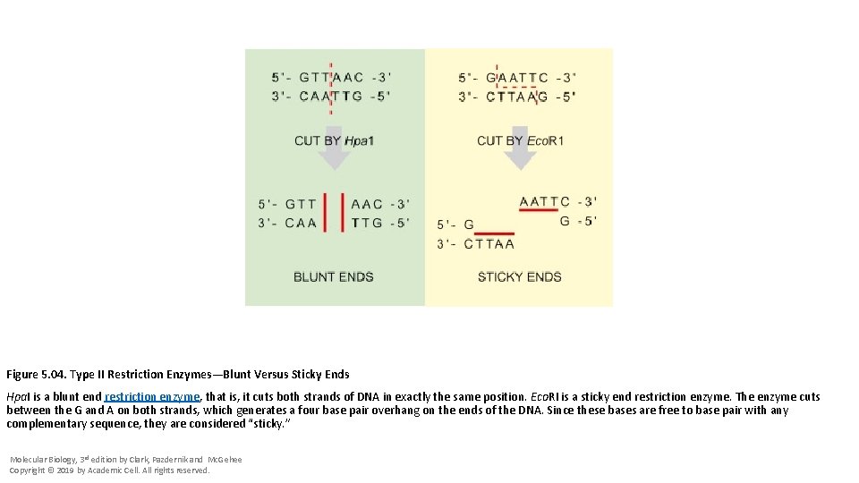 Unit 1 Basic Chemical and Biological Principals Chapter