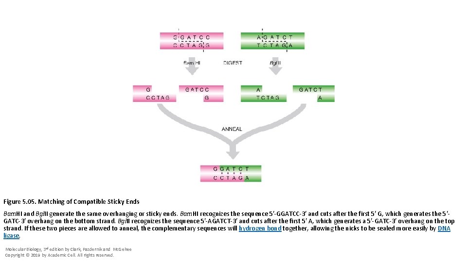 Unit 1 Basic Chemical and Biological Principals Chapter