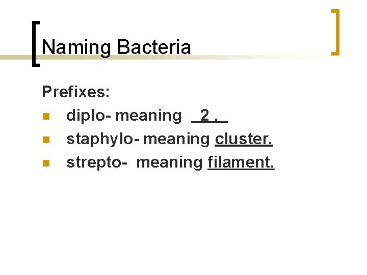 Bacterial Cells Chapter 19 1 Bacterial Cells n